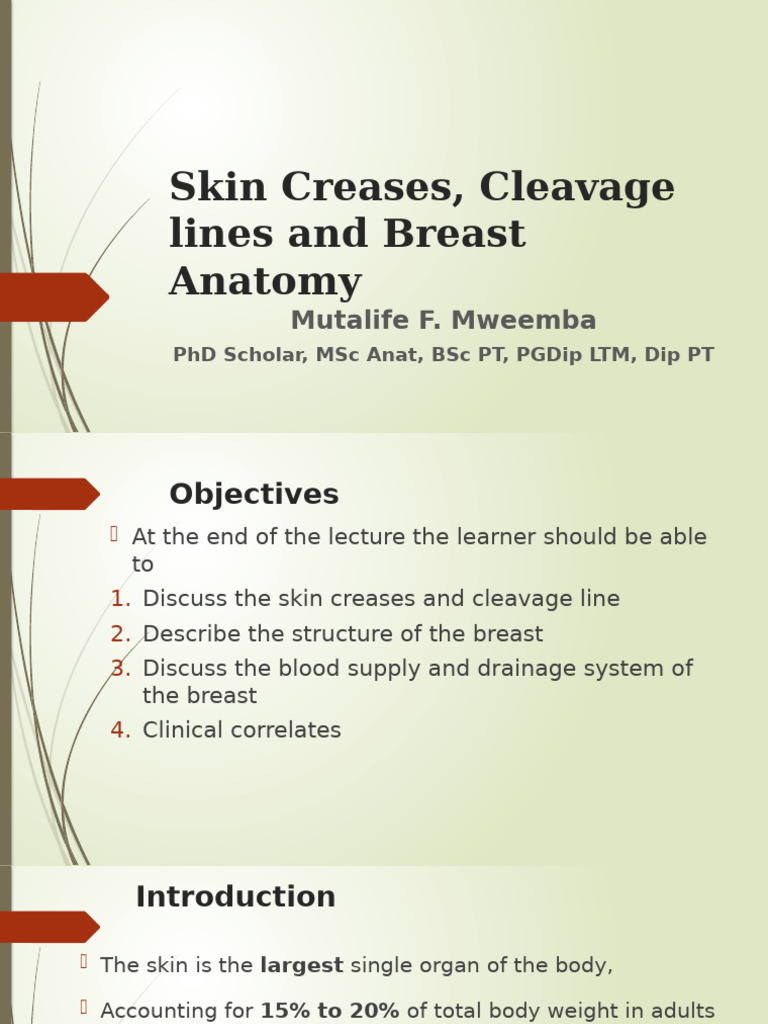 Skin Creases, Cleavage Lines and Breast Anatomy | PDF | Skin | Breast