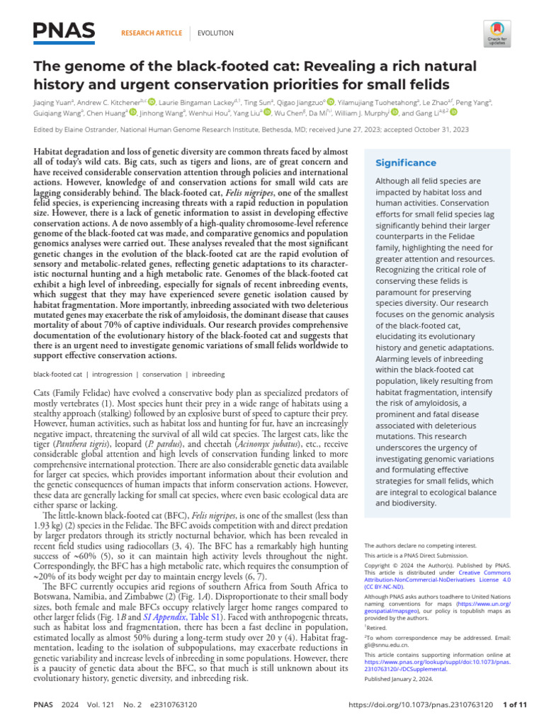 The genome of the black-footed cat revealing a rich natural history and ...