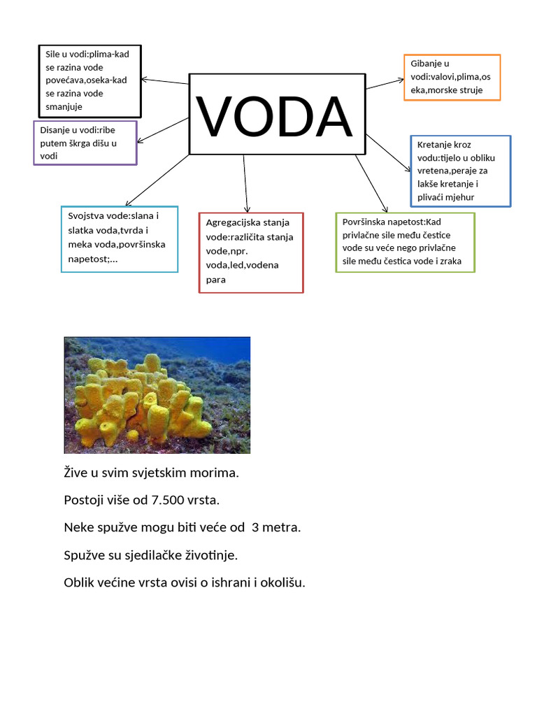 VODA | PDF