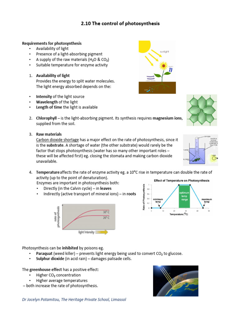 Controlling Photosynthesis Factors | PDF | Photosynthesis | Soil