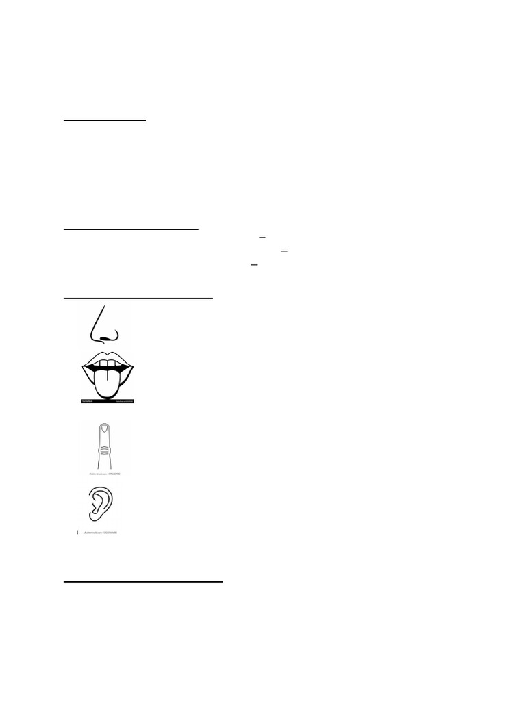 C1 - Chapter 2 - My Body and Its Organs | PDF