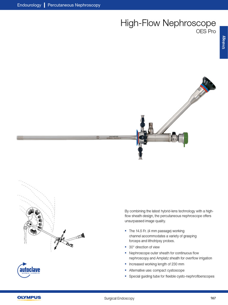 04. ADULT PCNL FULL SET BROCHURE | PDF | Urology | Kidney