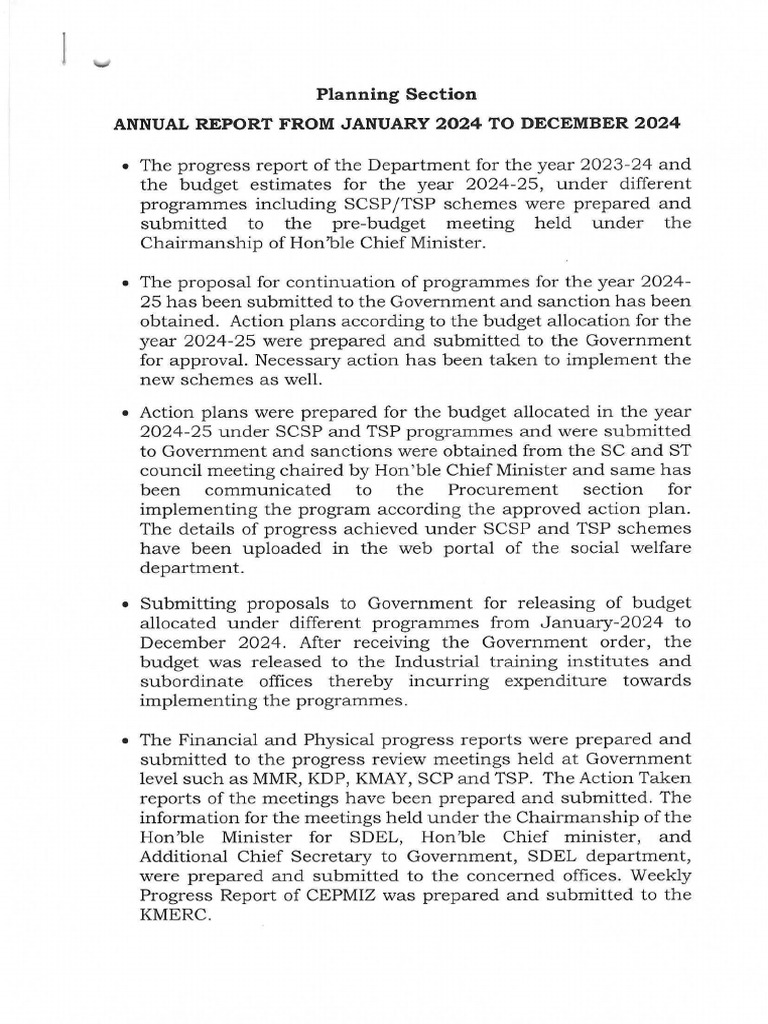 2024 Anual Report in English | PDF