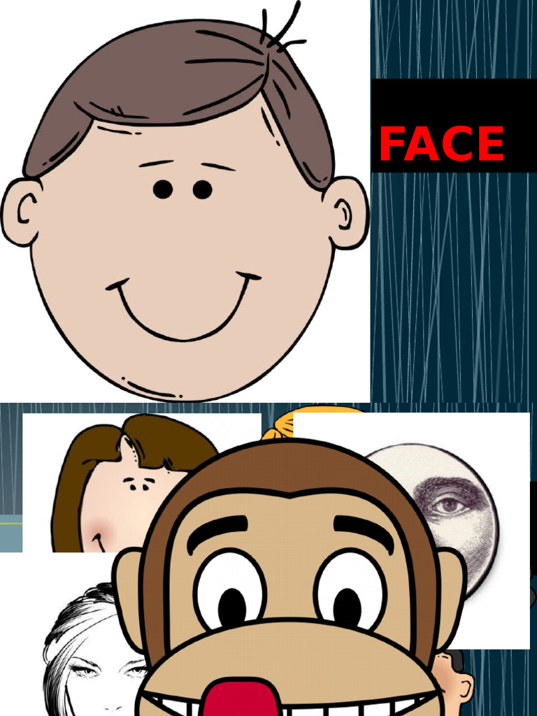 Body Parts (Face) Slide | PDF