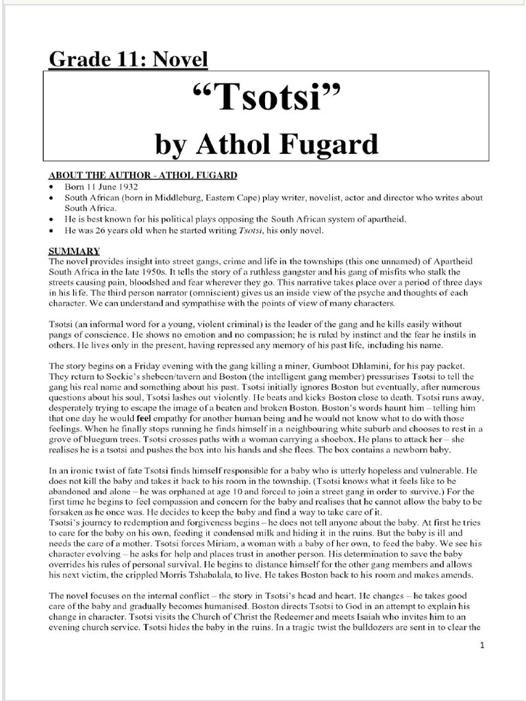 Grade 11 Tsotsi Chapter Summaries | PDF