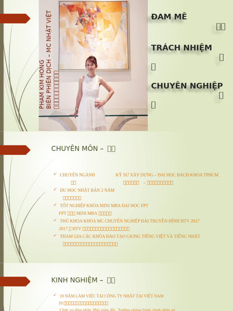 Profile Pham Kim Hong | PDF