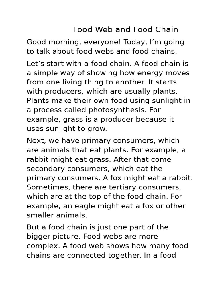 Food Web and Food Chain | PDF
