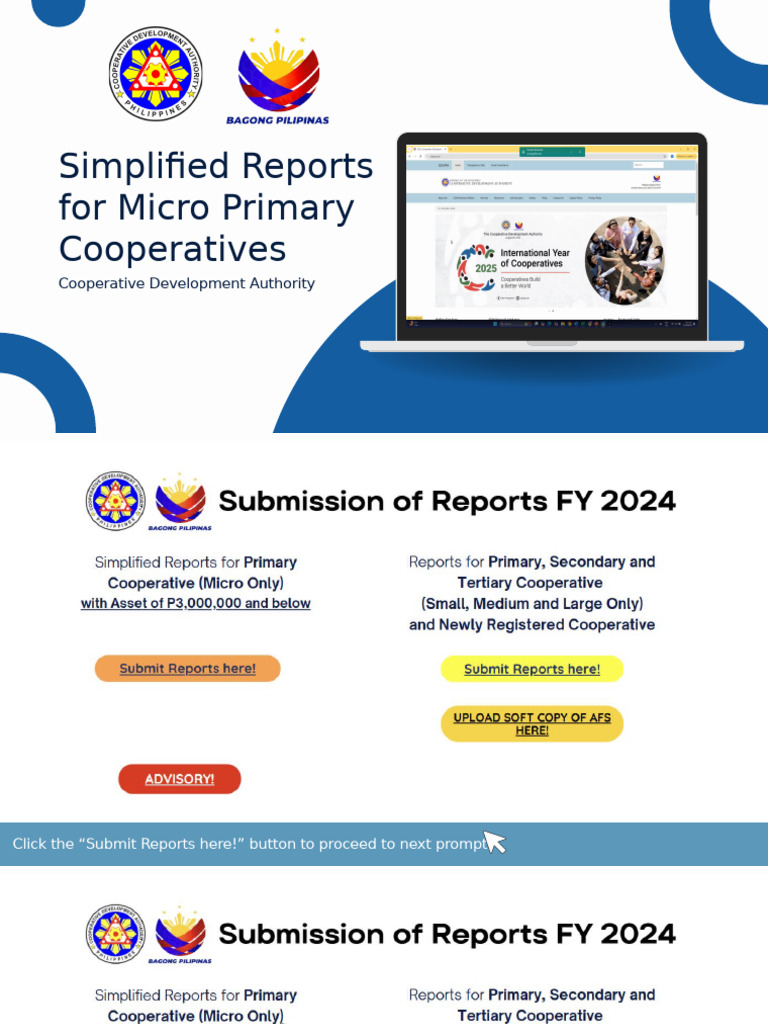 Simplified Reports for Micro Cooperatives | PDF