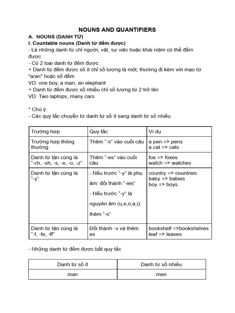 Nouns and Quantifiers | PDF