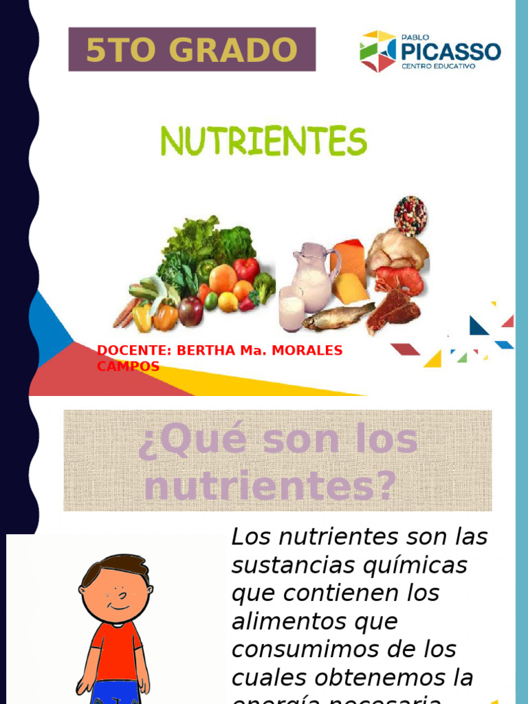 Los Nutrientes 5to Grado | PDF