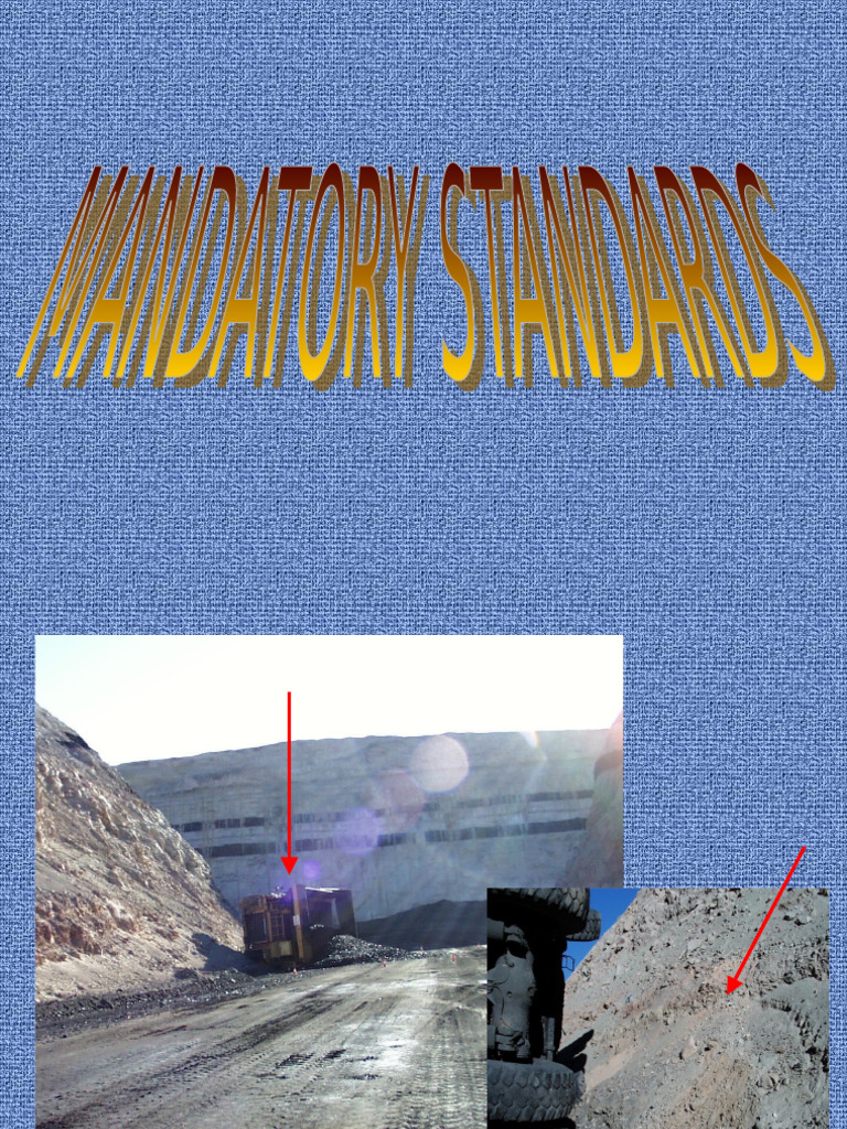 Mandatory Standards AR04 | PDF