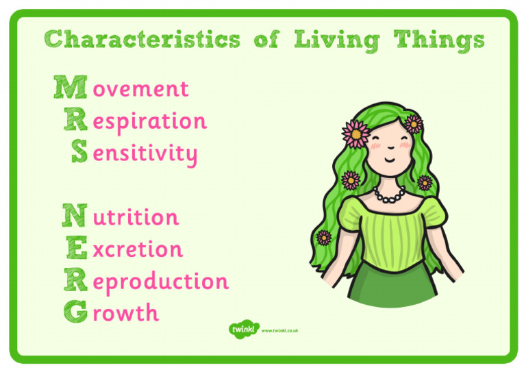 T2-S-003-Mrs-Nerg-Life-Processes-Display-Poster | PDF