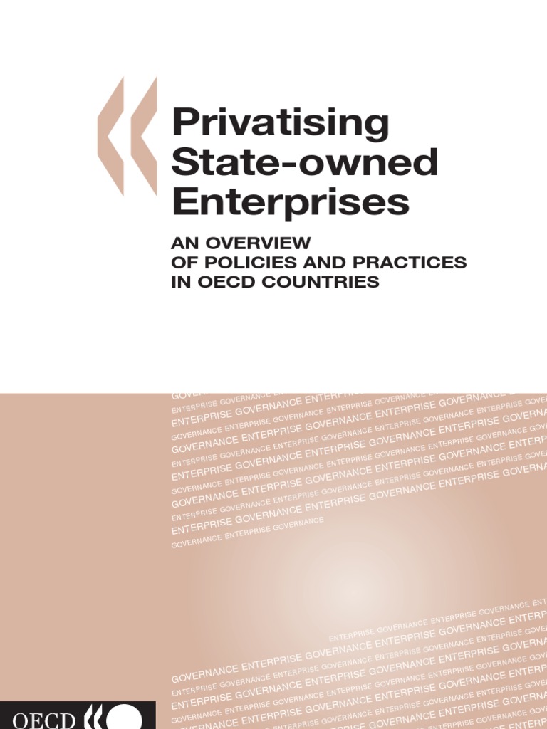 Privatising State-Owned Enterprises | PDF | Privatization | Organisation For Economic Co ...