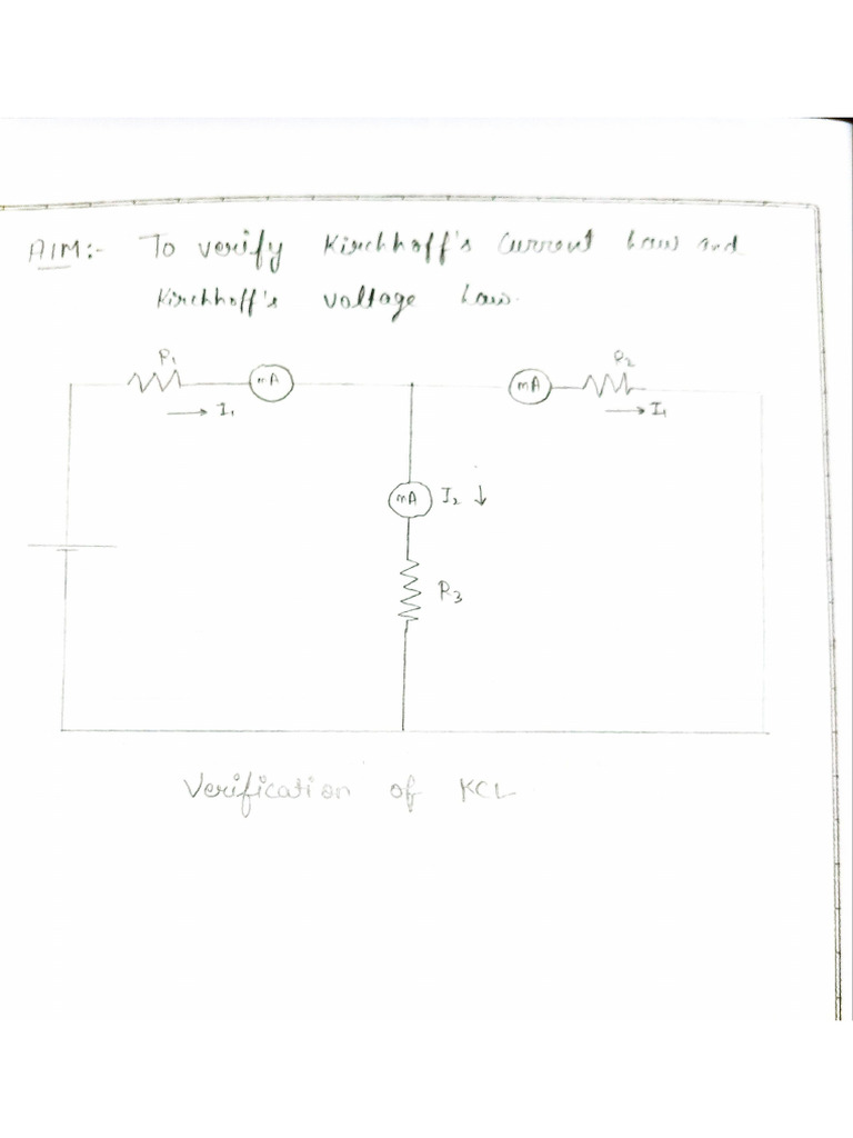 Bee Experiment 1 (1) | PDF
