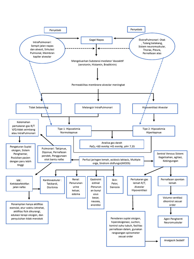 Gagal Napas Pathway 3 | PDF