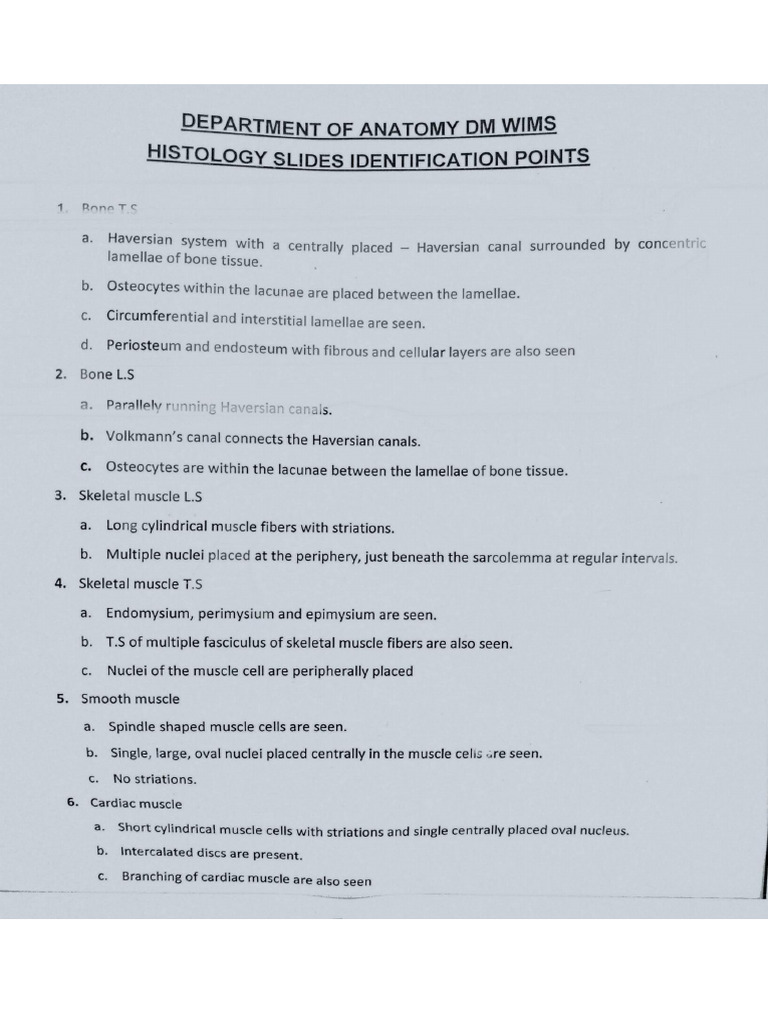 Histology slide identification points | PDF