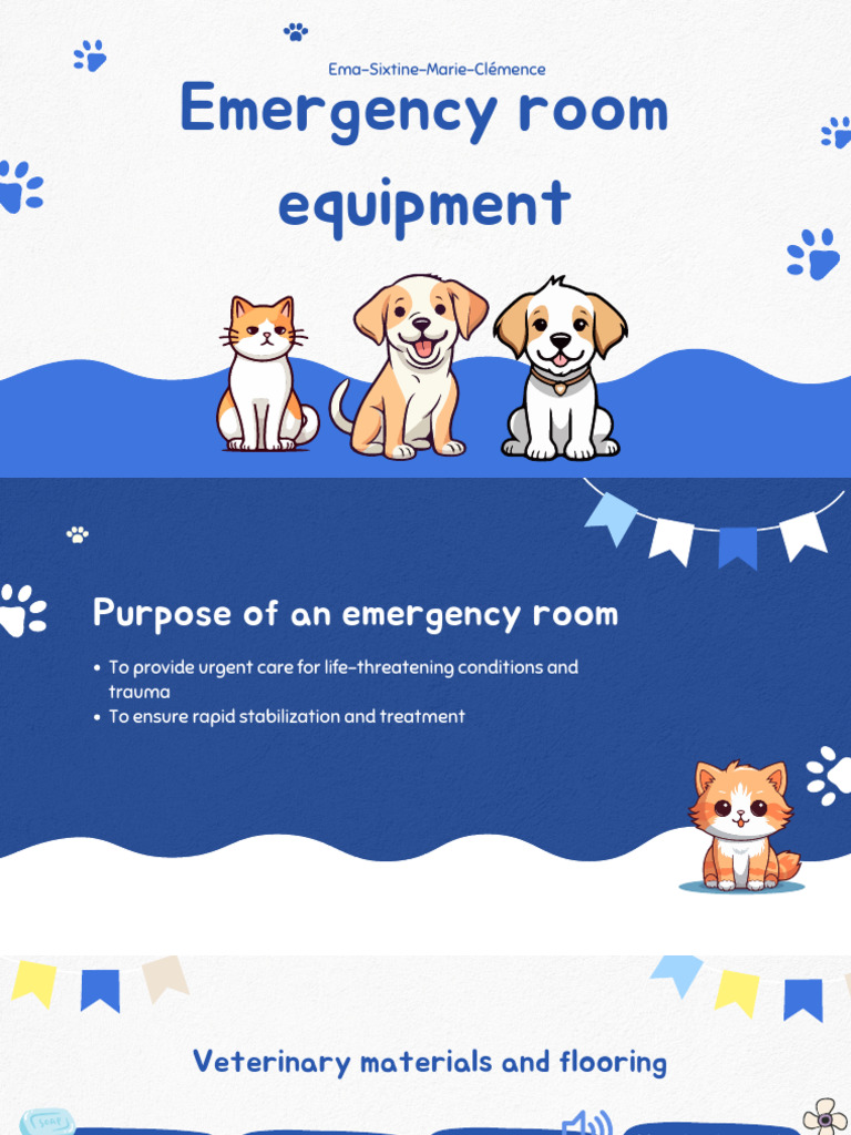 Emergency Room Equipment Overview | PDF | Emergency Department | Anesthesia