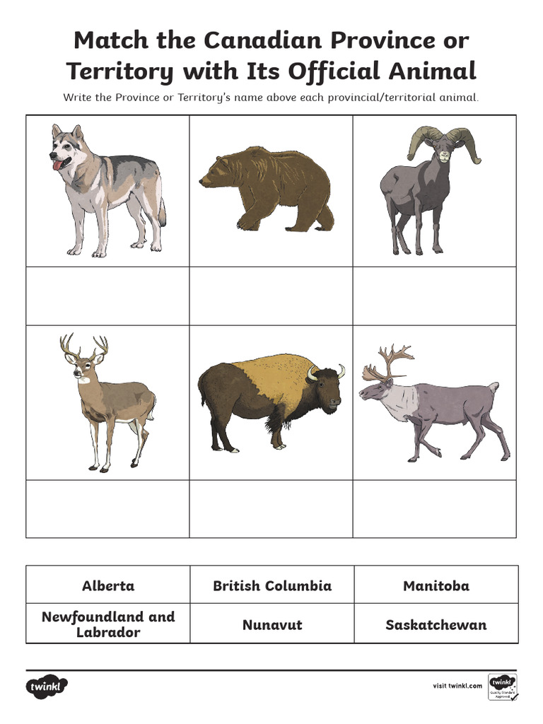 Animals | PDF