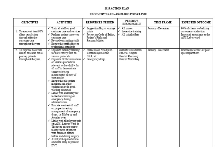 2025 Action Plan for Maternal Health | PDF | Public Services | Health ...