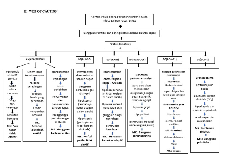 Pathway Status Asmatikus | PDF