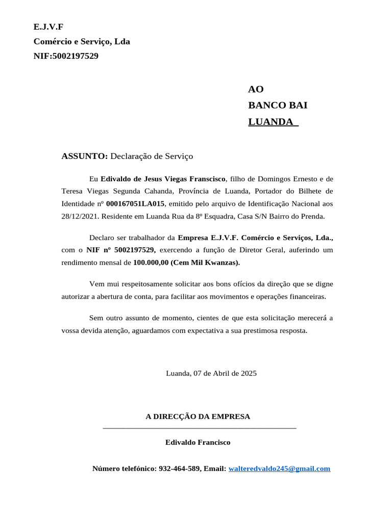 Declaração de Rendimento BAI | PDF