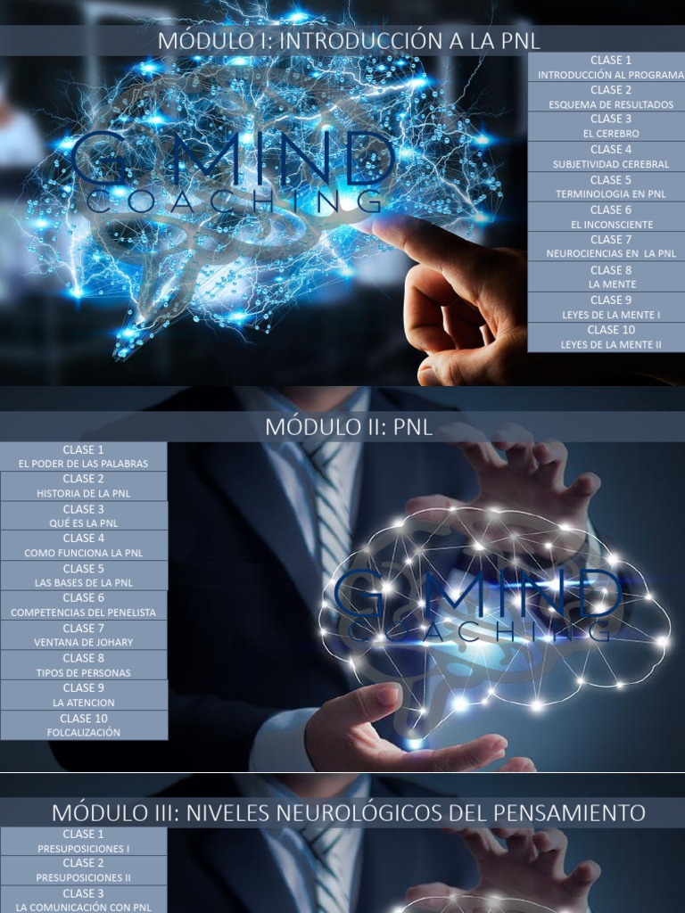 Estructura General PNL Practitioner | PDF | Mente | Cerebro
