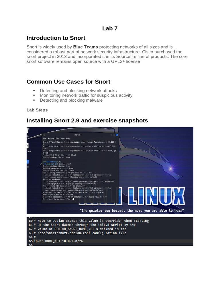 Lab 7-Snort | PDF