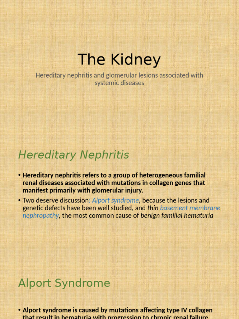 Hereditary Nephritis and Kidney Diseases | PDF | Kidney Disease | Kidney