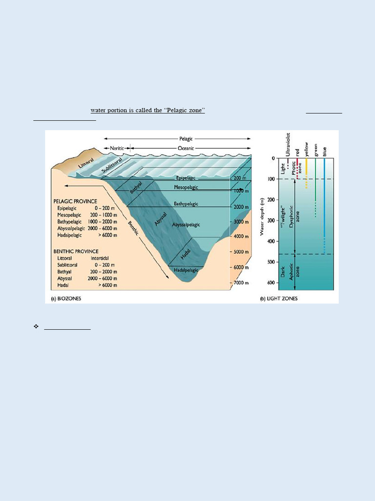 Divisions of Marine Ecosystems Explained | PDF | Physical Geography ...