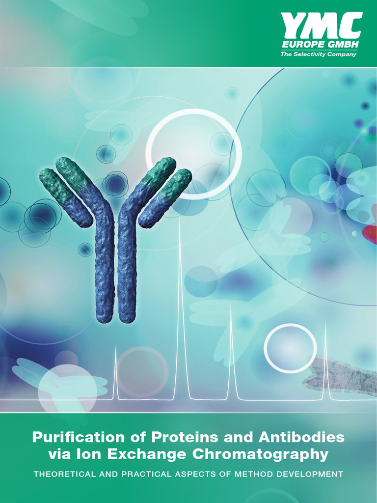IEX Method Development for Protein Purification | PDF | Protein ...
