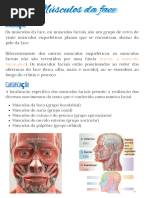 Anatomia da Irrigação e Inervação Facial | PDF | Anatomia humana ...