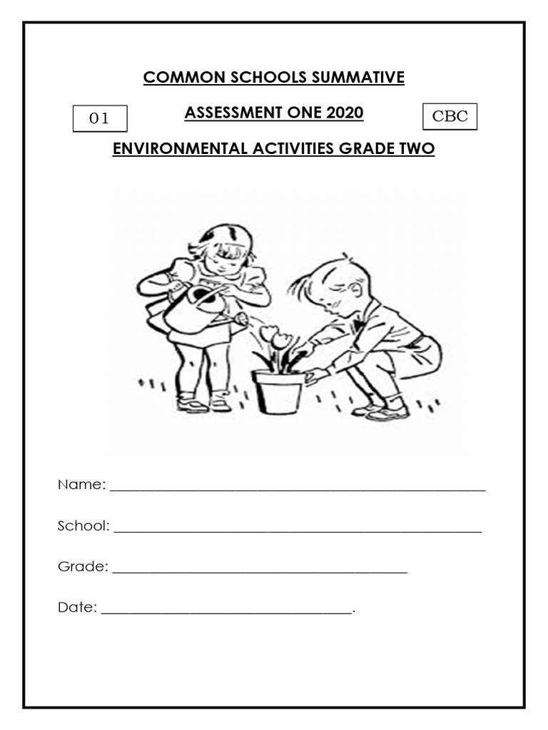Grade 2 Environmental Assessment 2020 | PDF | Fashion | Clothing