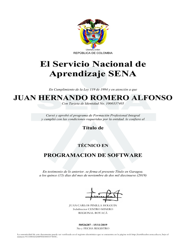 Tecnico en Programacion de Software | PDF