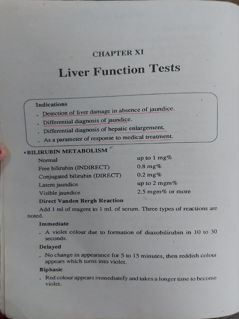 Liver Function Test | PDF