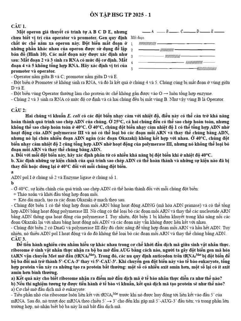 Ôn Tập Đội Tuyển Hsg Tp 2025 - Phan 1 | PDF