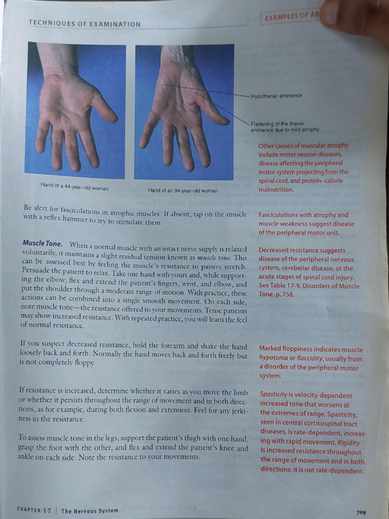Muscle tone examination test | PDF