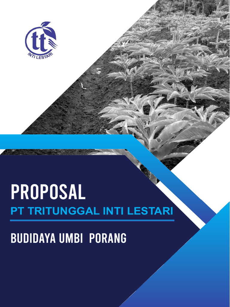 Proposal PT Tritunggal Inti Lestari | PDF