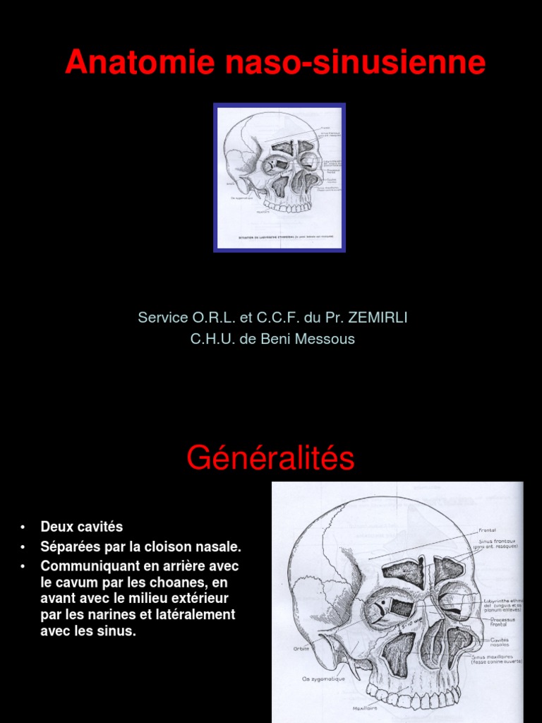 Anatomie Naso-Sinusienne | PDF