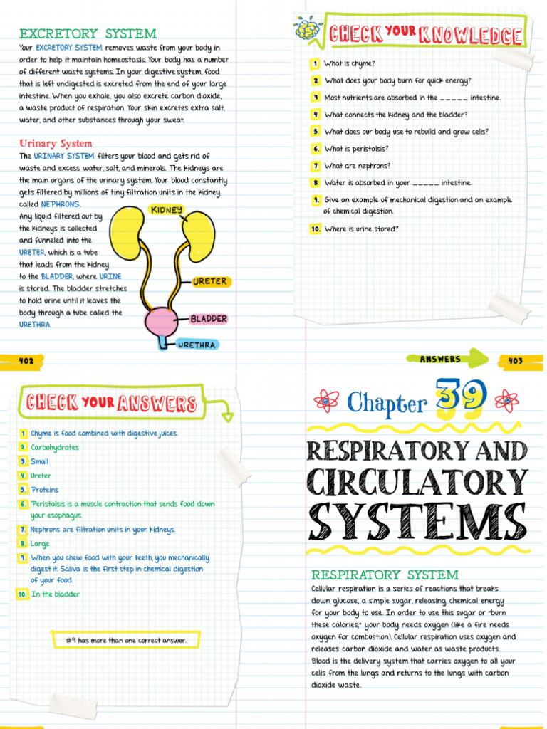 Everything You Need To Ace Science in One Big Fat Notebook 5 | PDF