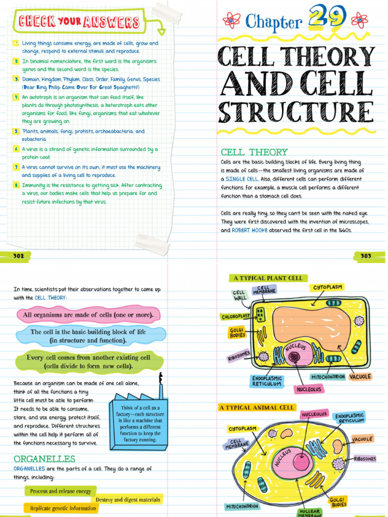 Everything You Need To Ace Science in One Big Fat Notebook 4 | PDF