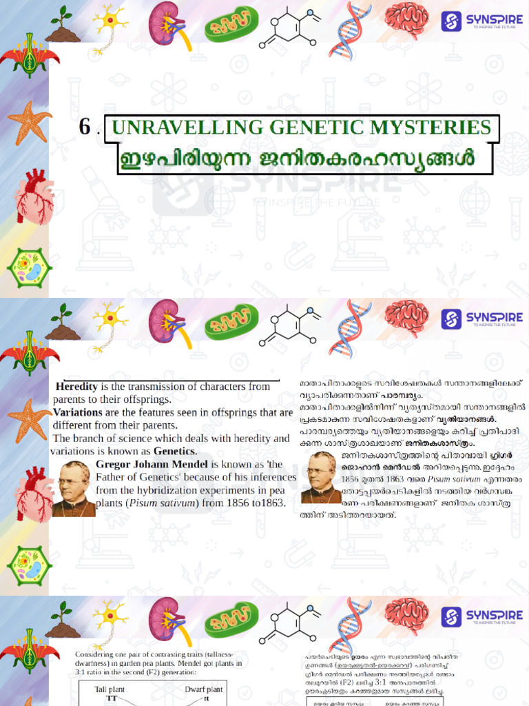 CHAPTER 6 Compressed | PDF