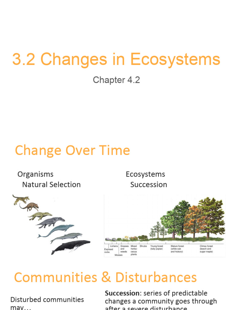 Ecosystem Changes and Succession Dynamics | PDF | Disturbance (Ecology ...