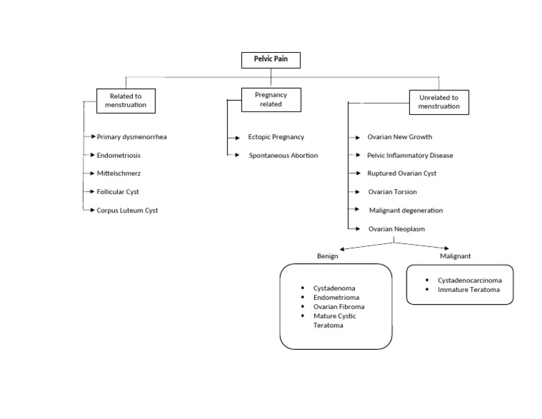 Pelvic Pain Framework | PDF