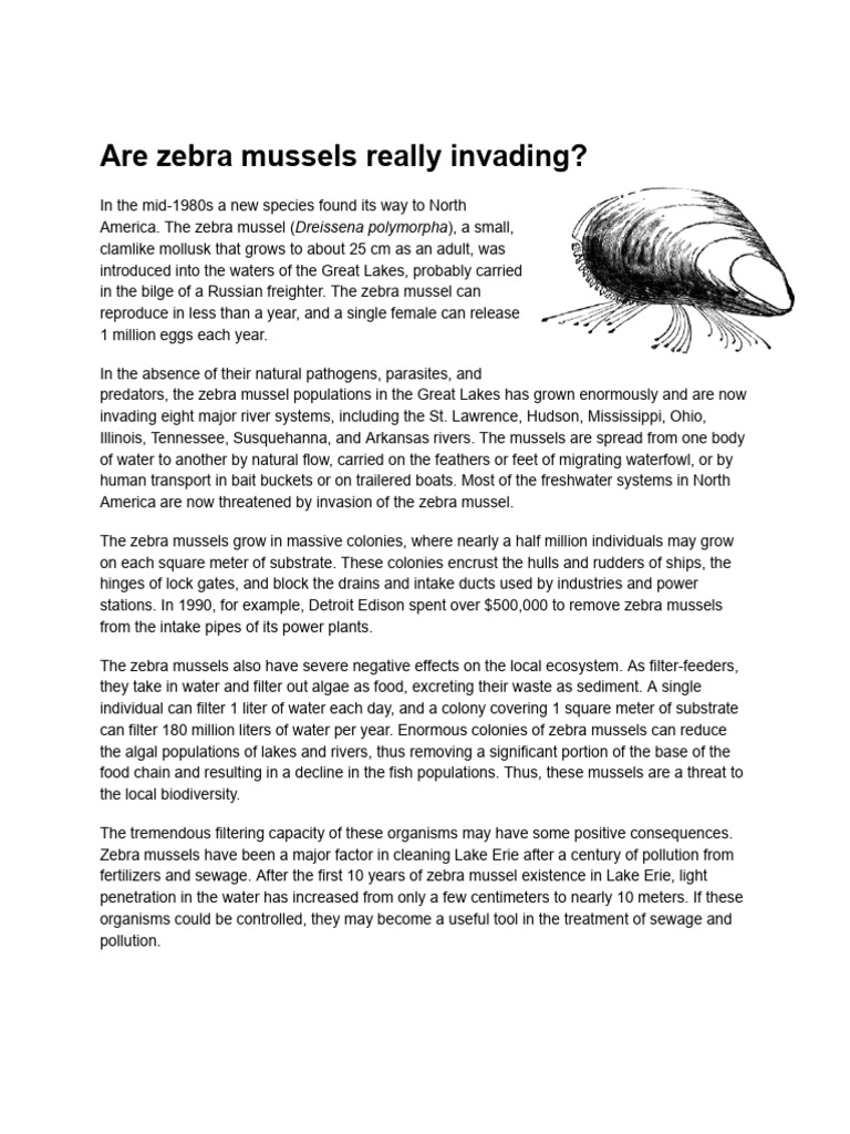 Are Zebra Mussels Really Invading | PDF | Water | Natural Environment
