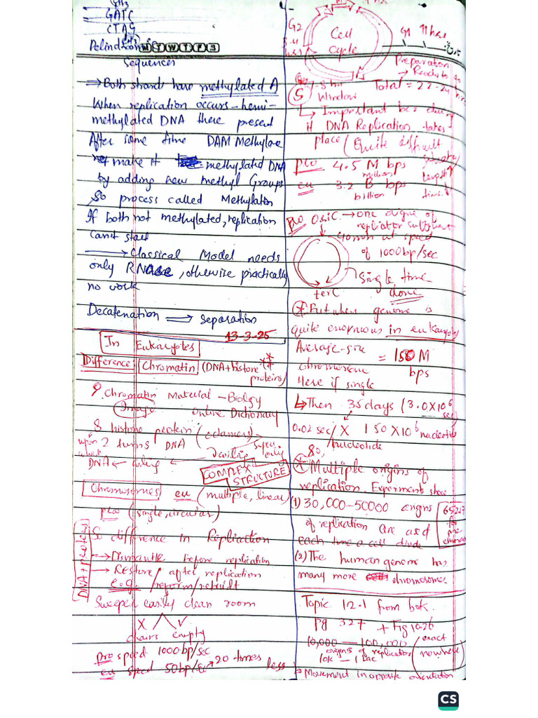 Aqsa Molecular Biology... - 1 | PDF