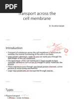 Amoeba Sisters Video Recap | PDF | Cell Membrane | Cell (Biology)