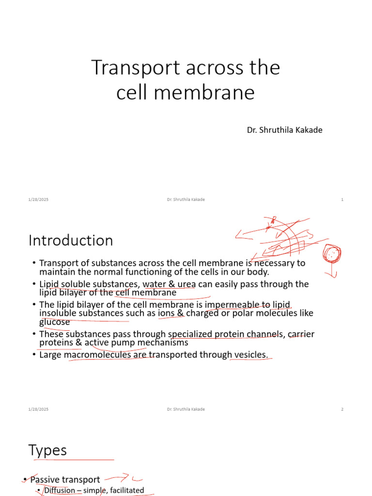 Transport Across The-Class | PDF | Diffusion | Cell Membrane