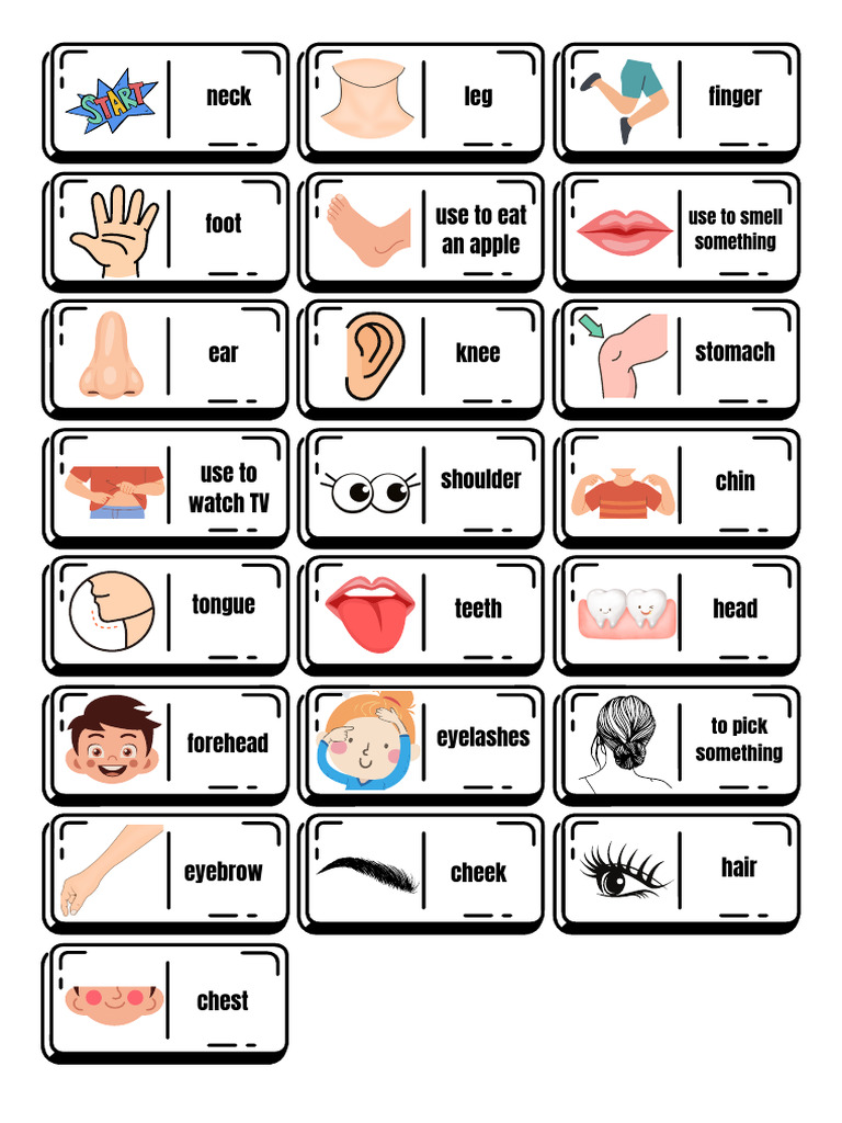 Domino Body Parts Overview | PDF