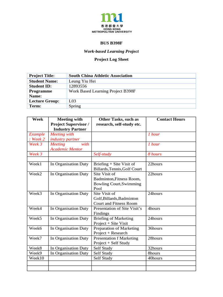 Project Log Sheet Copy3 | PDF