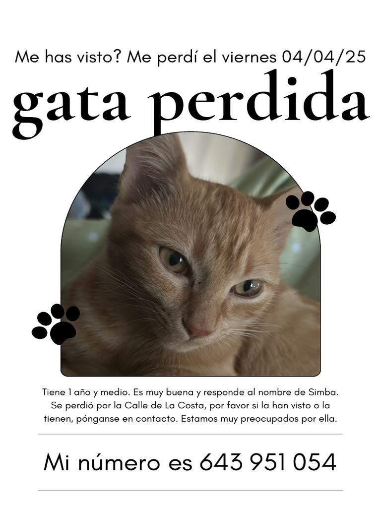 Simba Perdida PDF | PDF
